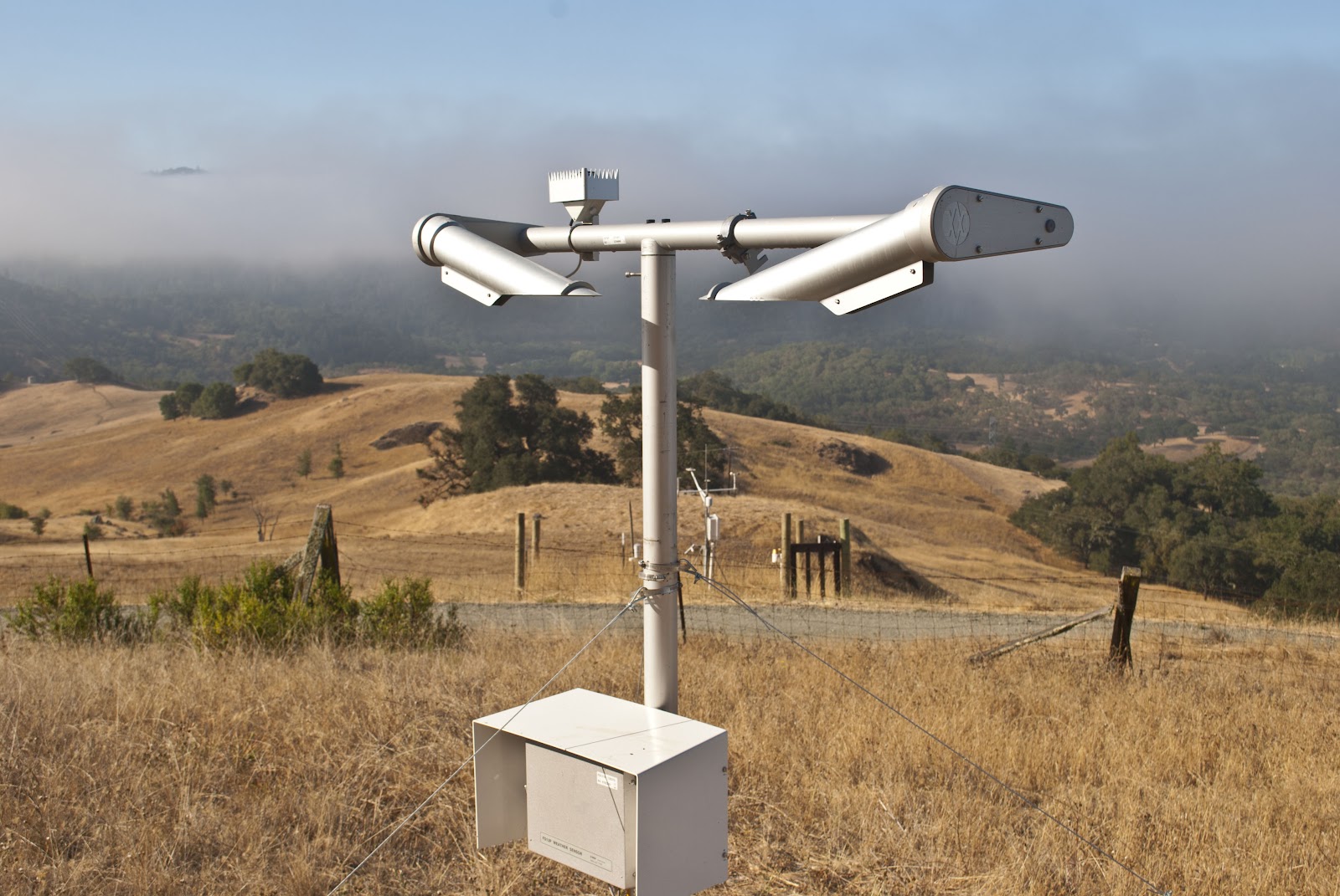 Pepperwood Field Notes: Penetrating the Mysteries of Fog