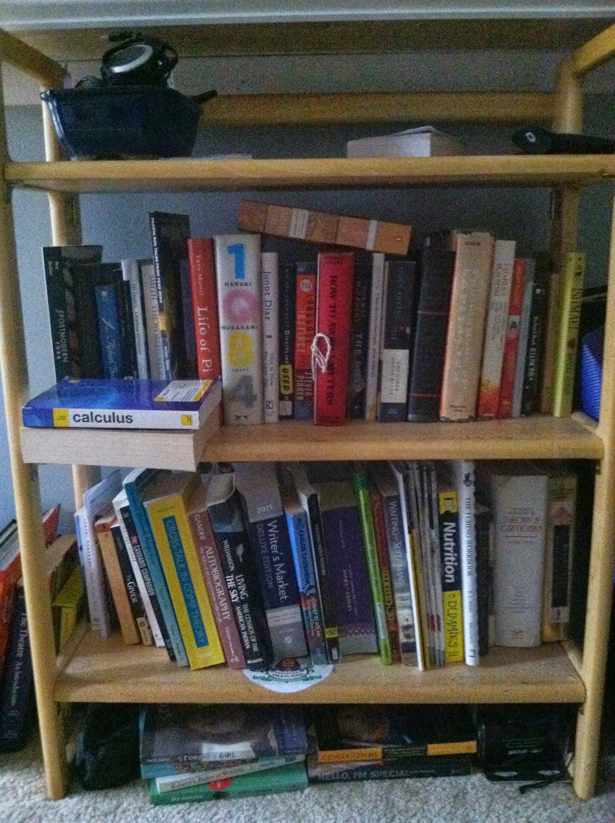 Sheridan's To-Do List : The Great Bookshelf Challenge and Other ...
