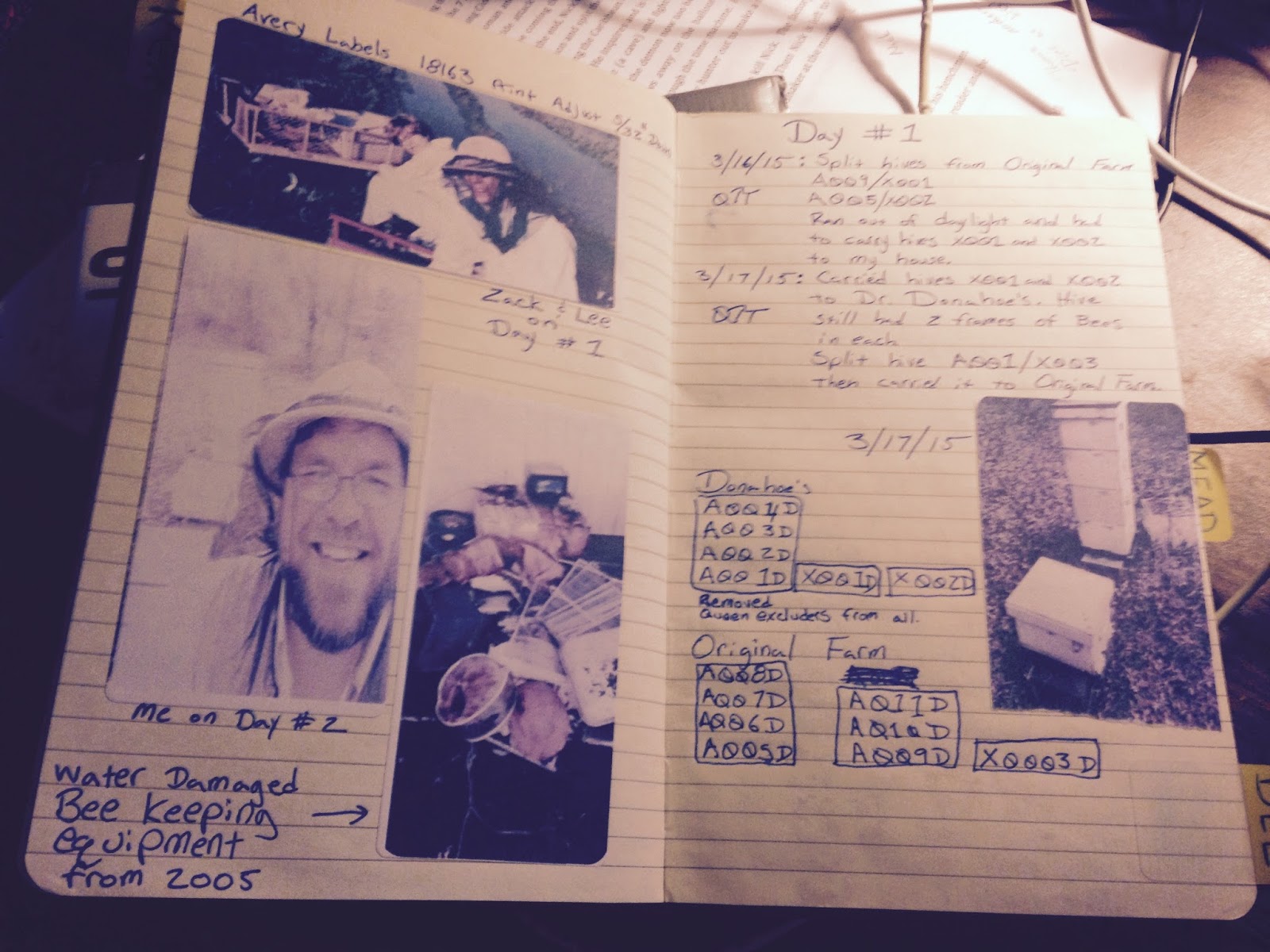 The Bungling Beekeeper's Beekeeping Blog: Keeping A Beekeeping Journal