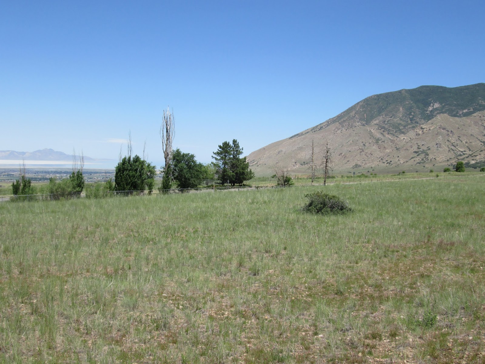 The Desert Empire Project: Ghost Rail-Fanning the Tooele Valley