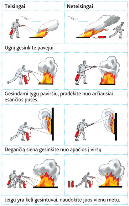 Briuselio kopūstai / Brussels sprouts: lapkričio 2011