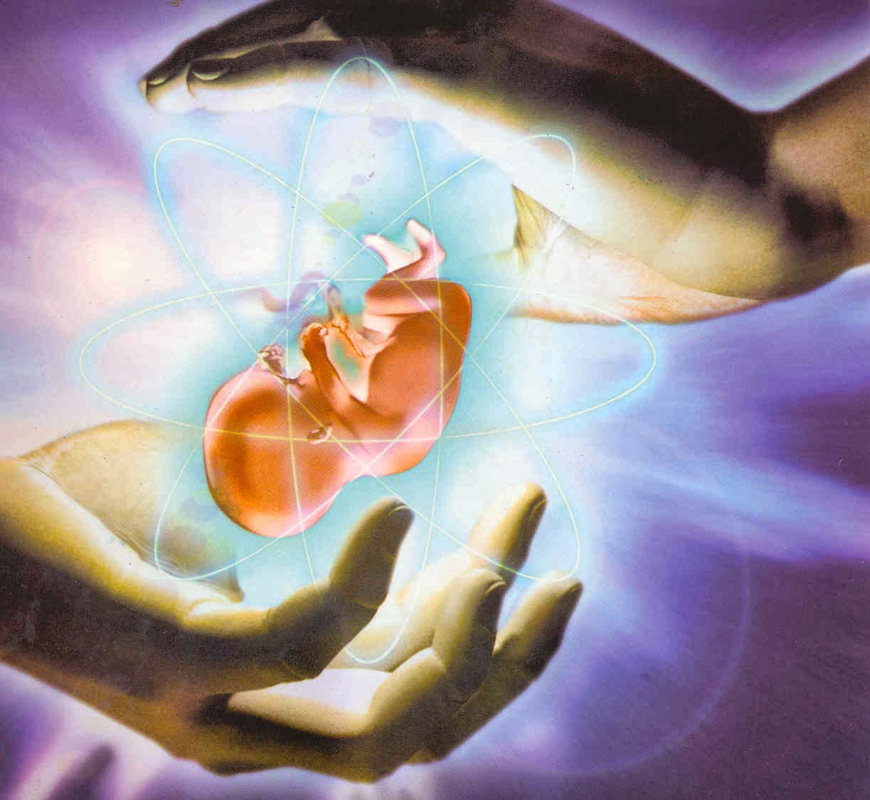 Espiritismo e Evolução: Os Mecanismos da Reencarnação