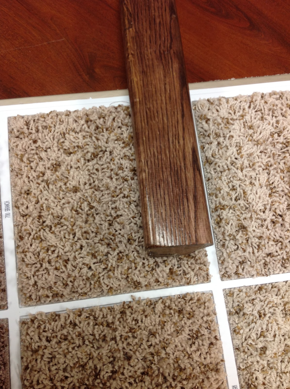 Ryan Homes - A Bit of Venice in the Country: Rite Rug Flooring