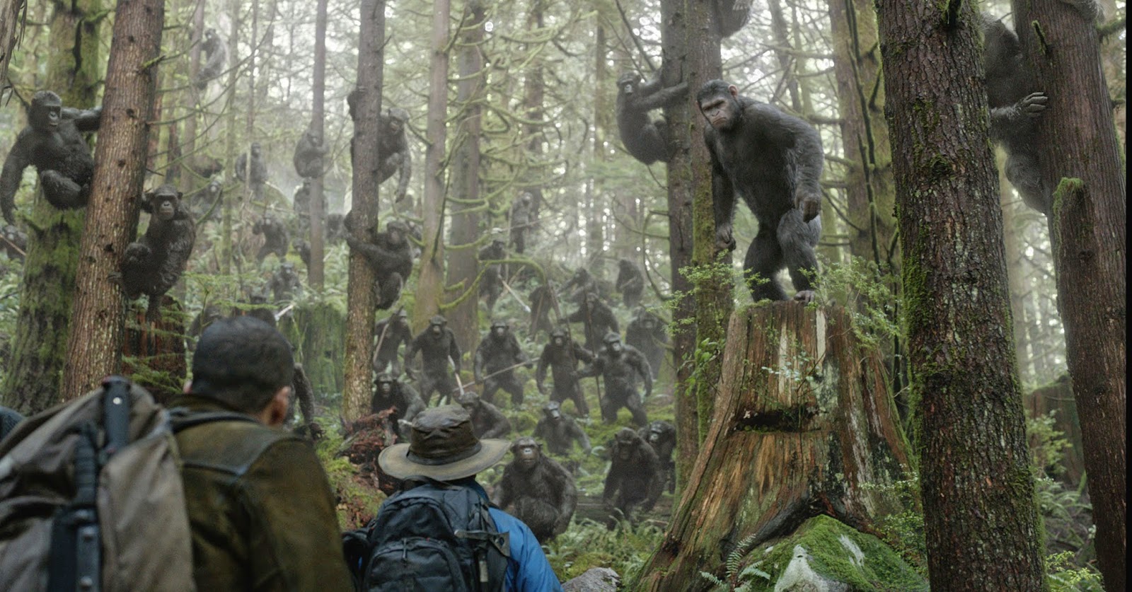 APE OF KINGDOM IS BACK IN “DAWN OF THE PLANET OF THE APES”