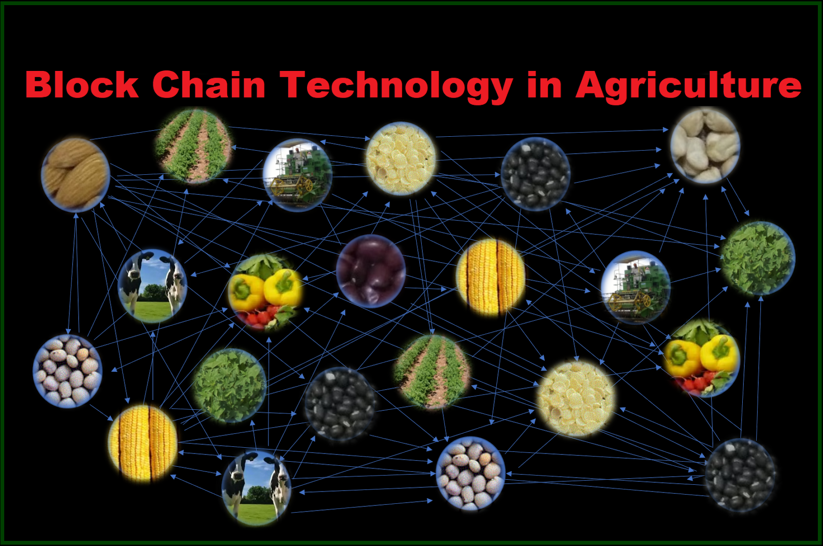 AGRICULTURE CONSULTANCY: Blockchain technology in Agriculture