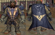 Lotro Fashion: Wish: Battle-ready dwarven guardian