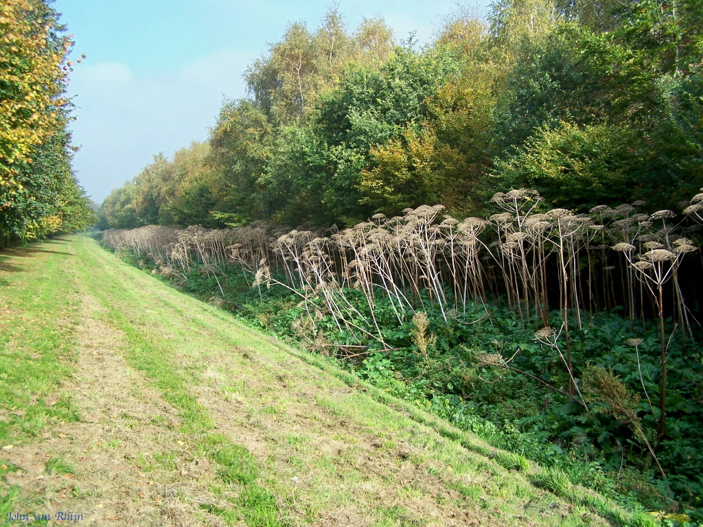 Leer mij Vlaardingen kennen: Broekpolder