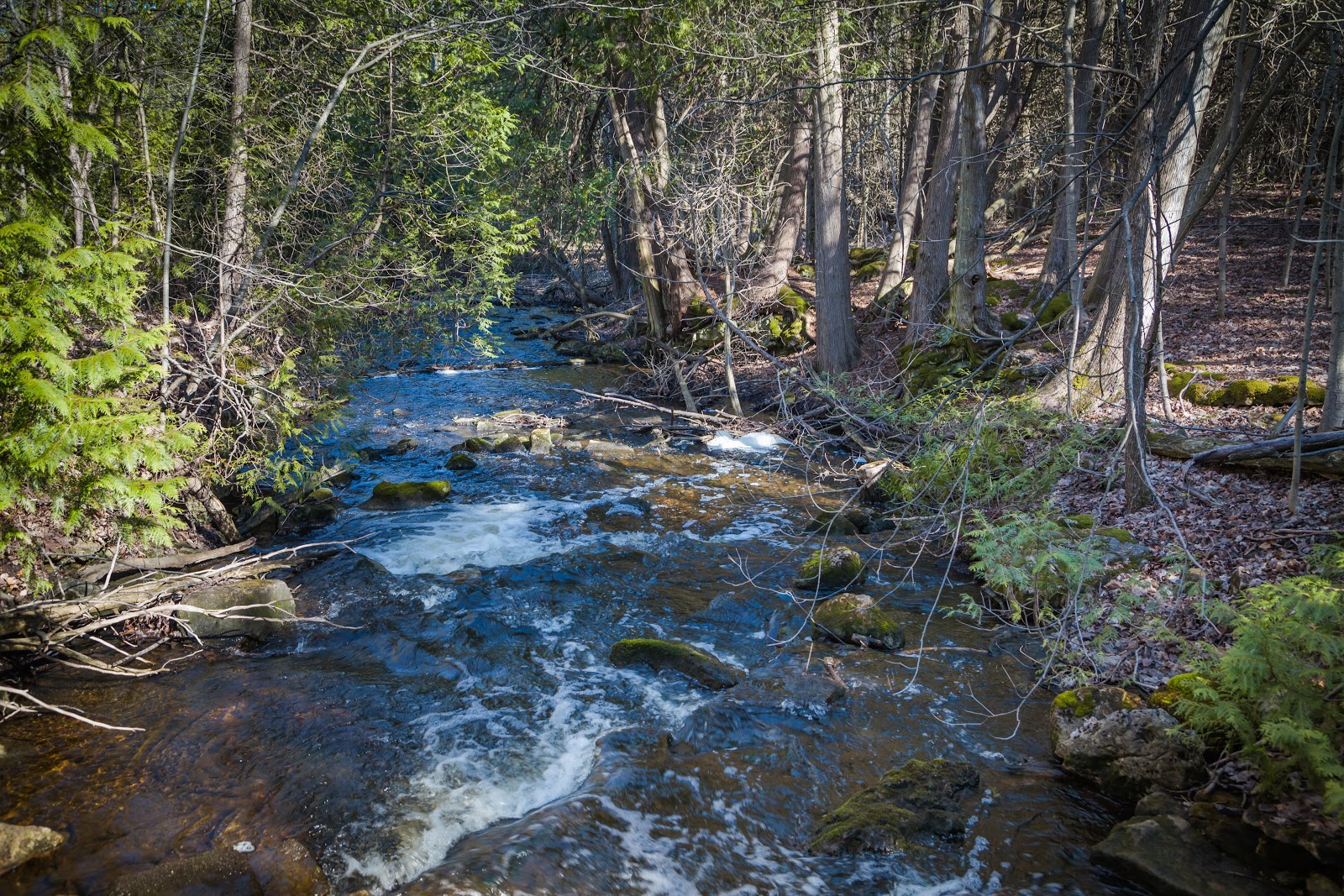 Mountsberg - More than Just an Egg Hunt - Explore the World with Simon ...