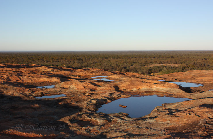 Life Images by Jill: Cave Hill, Burra Rock and the Woodlines, Western ...