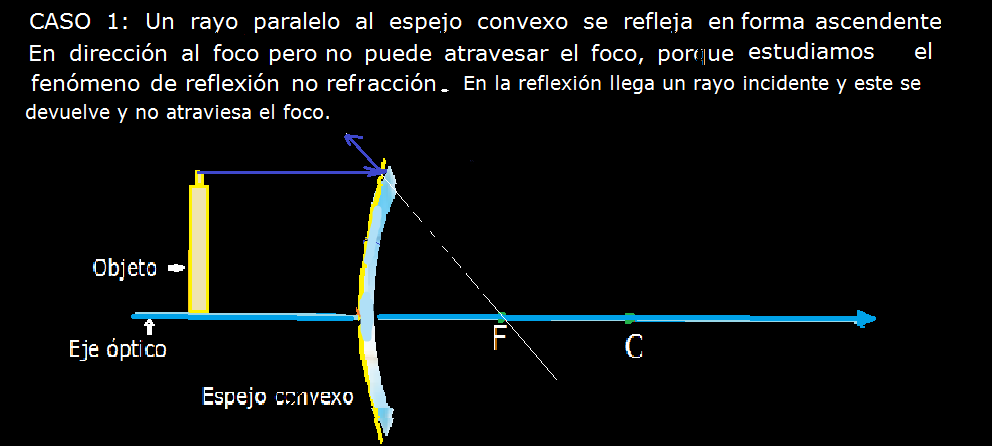 Guillermo Grass : LENTES DIVERGENTES