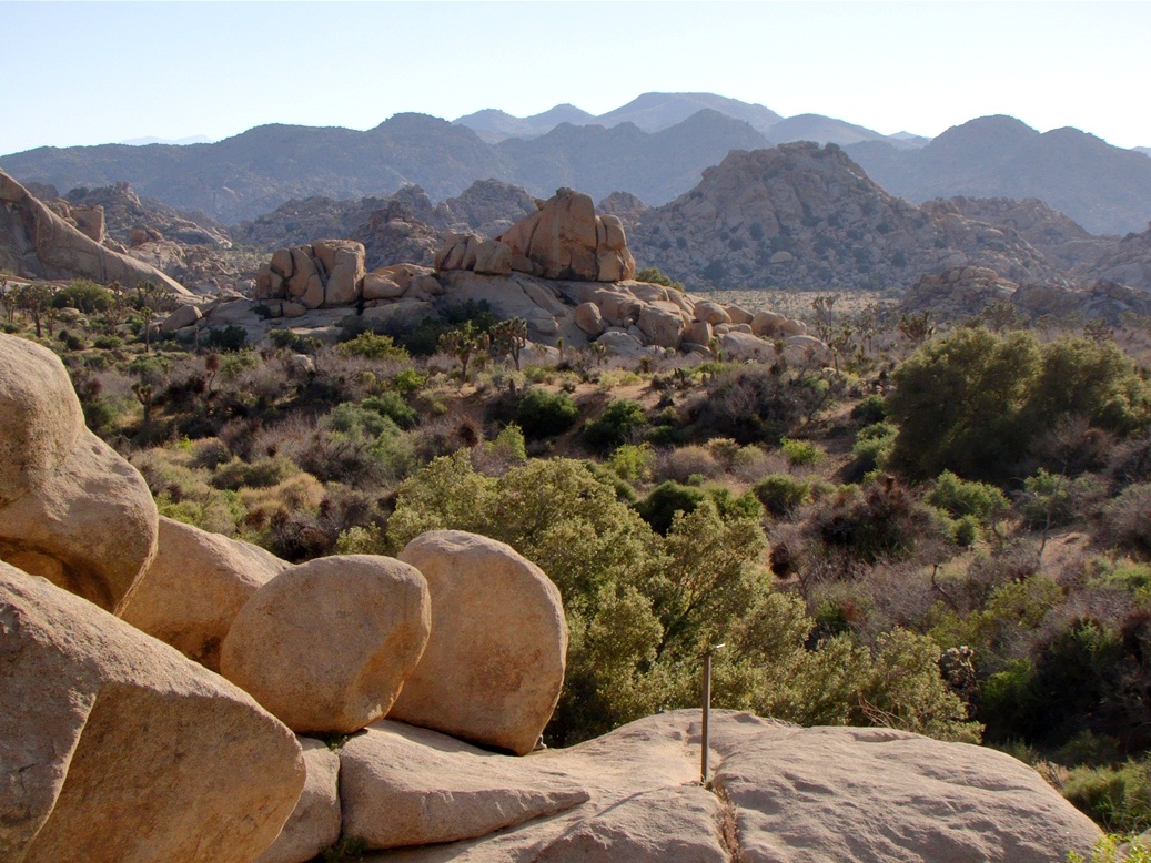 Geotripper: Water in a Dry Land: Joshua Tree National Park, and Getting ...