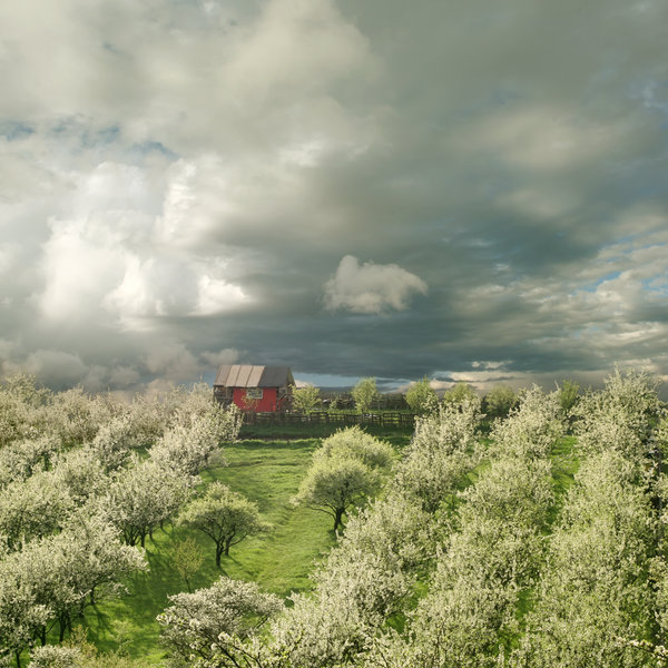 LA CIENCIA DE LA VIDA: 03/2017