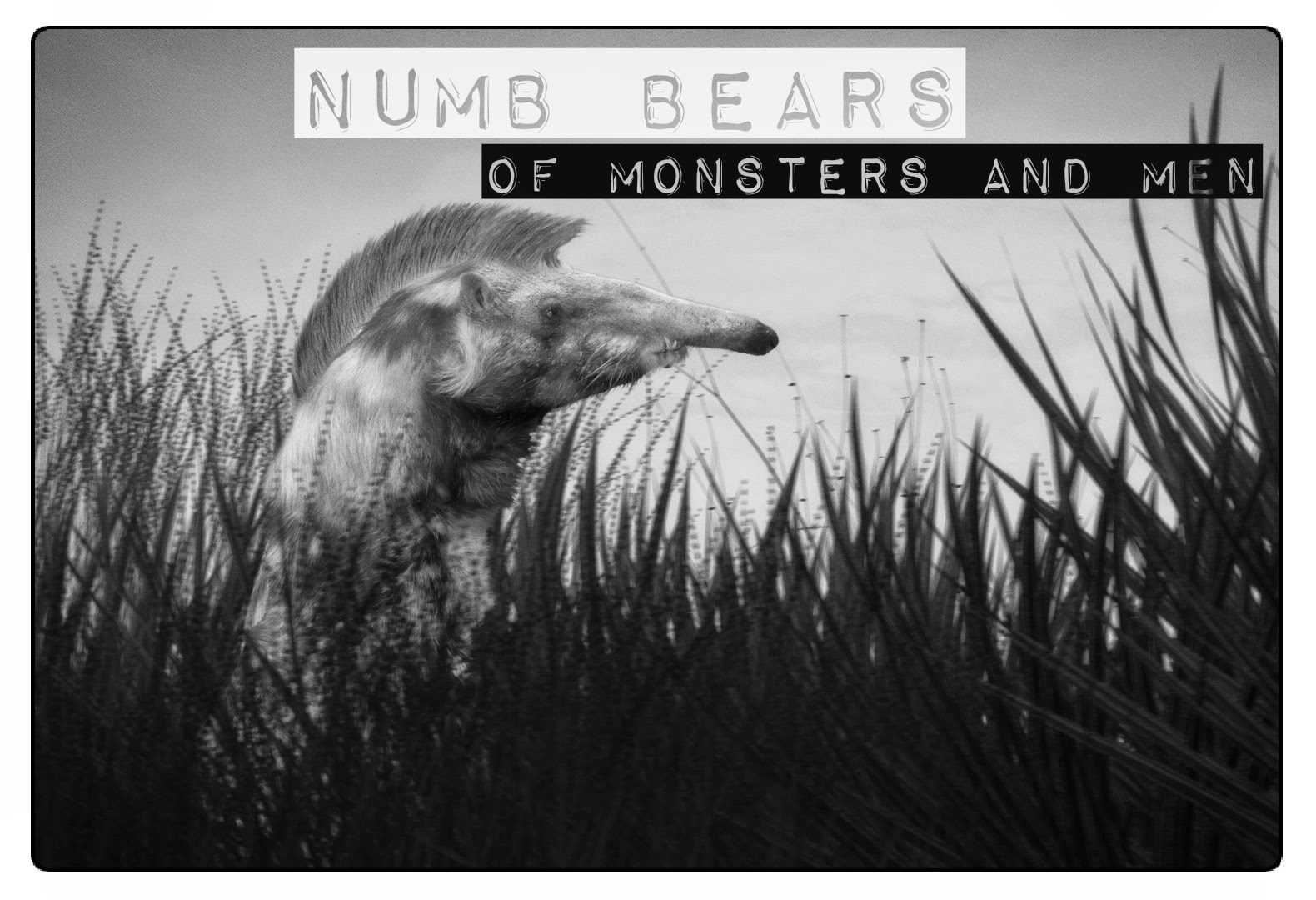 Numb Bears ~ Of Monsters and Men Spain