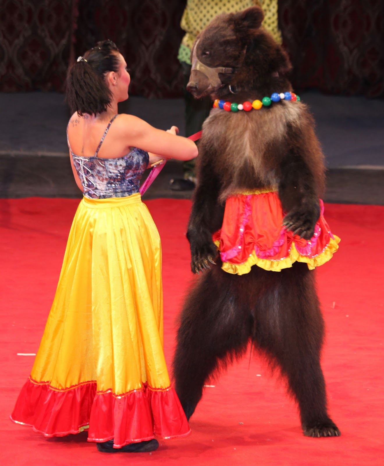 Musings in Mongolia: Circus addendum