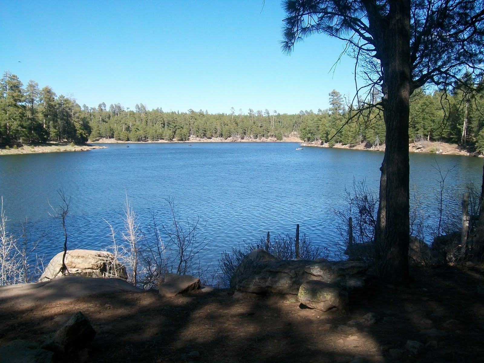 Arizona Jones Outdoor: Exploring the Mogollon Rim Country of Arizona