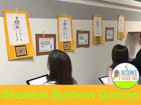 The Science School Yard: 6 Skeletal System Game Ideas for Studying Bones!