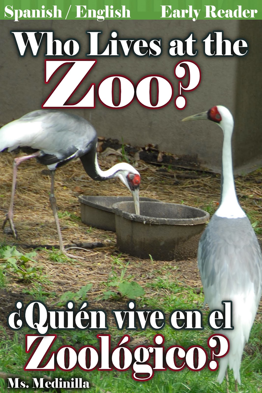 Mis 2 Manos: Made by My Hands: ¿Quién vive es el Zologico? Un bilingüe ...