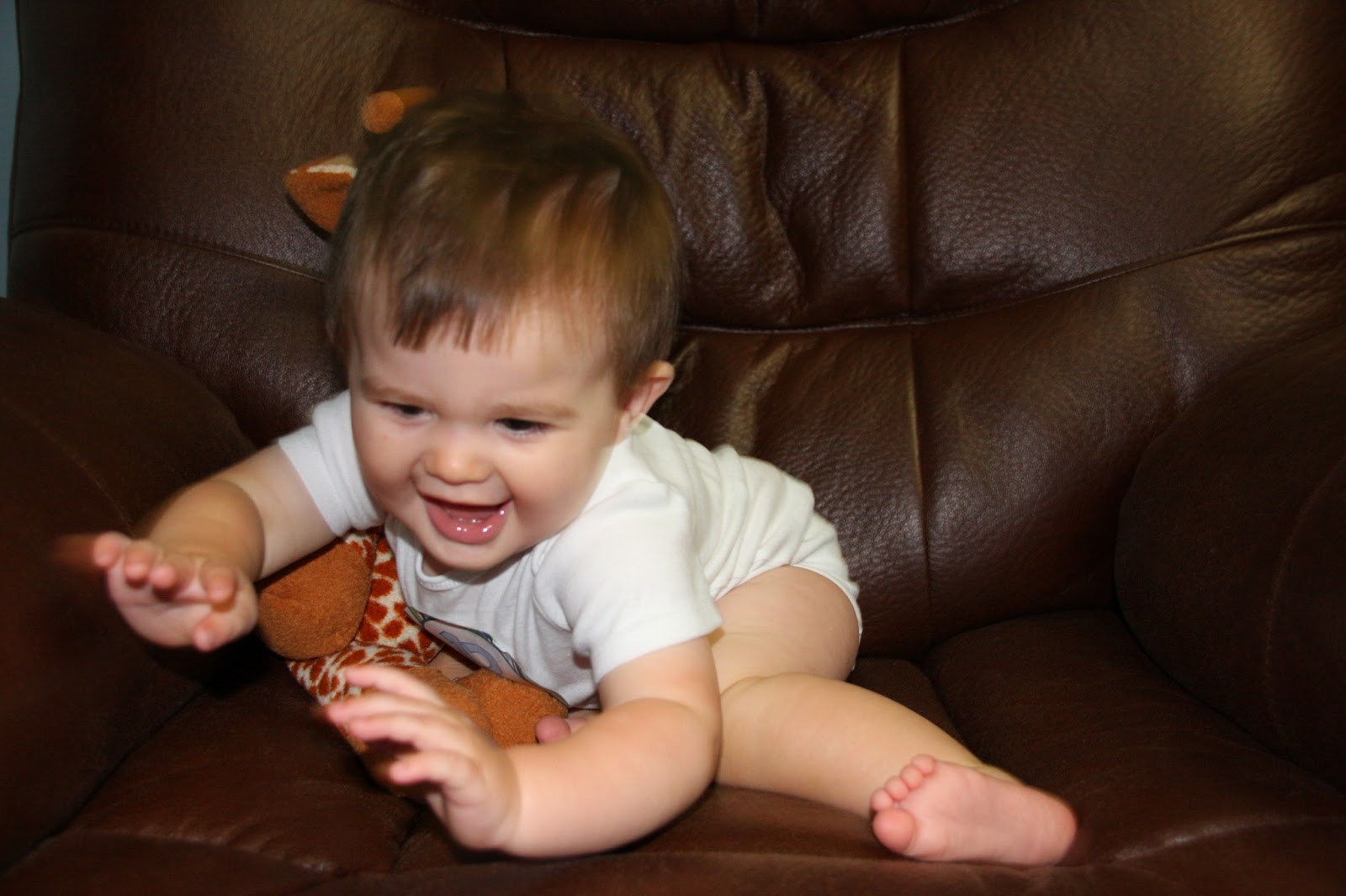 Simple Suburbia: Carson Anthony: 12 Months!!