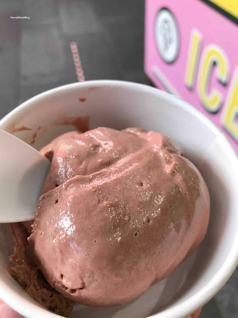 Hawaii Mom Blog: Visit New York: Ice & Vice