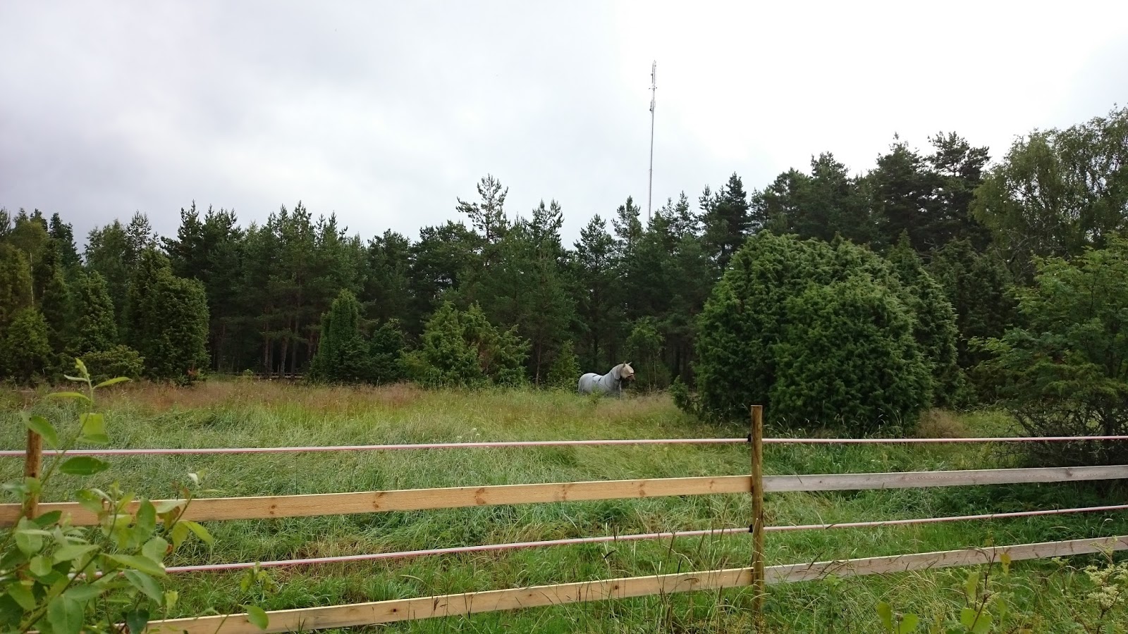 Kittilän Talli: Pihatot