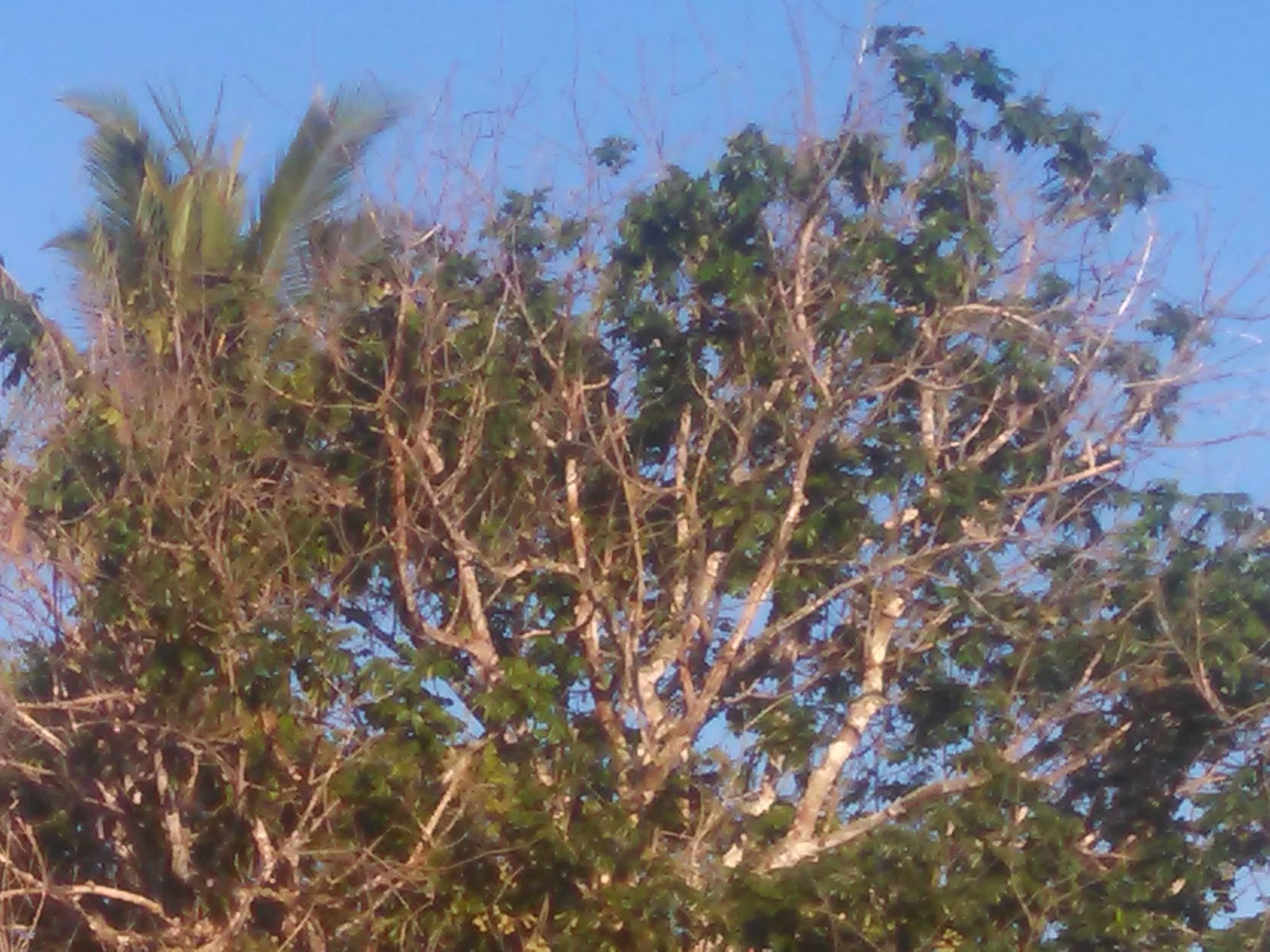 Viajem Distrito de Panda - Blog de Inhambane