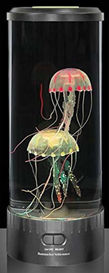 Best Service Home jellyfish tank In USA