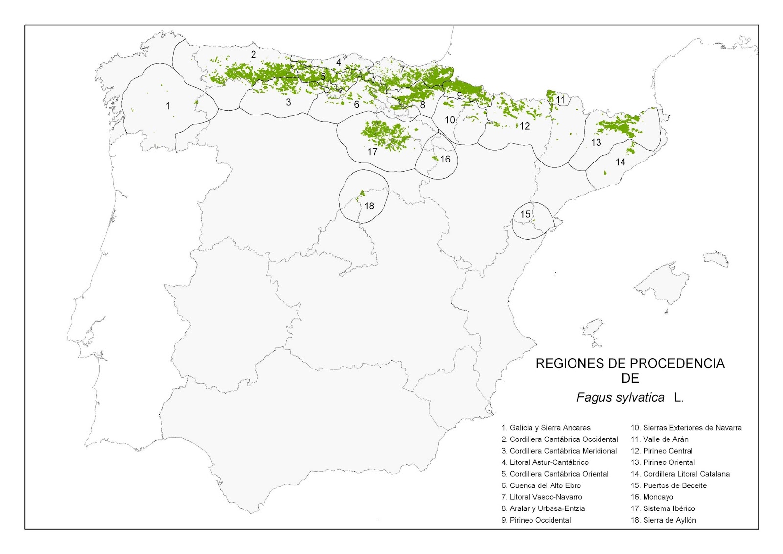EL ZENOBITA: Historia del haya en Europa y España