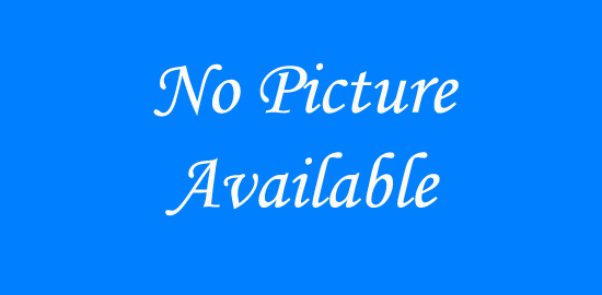 Artes de Pesca: ACTINOPTERYGII