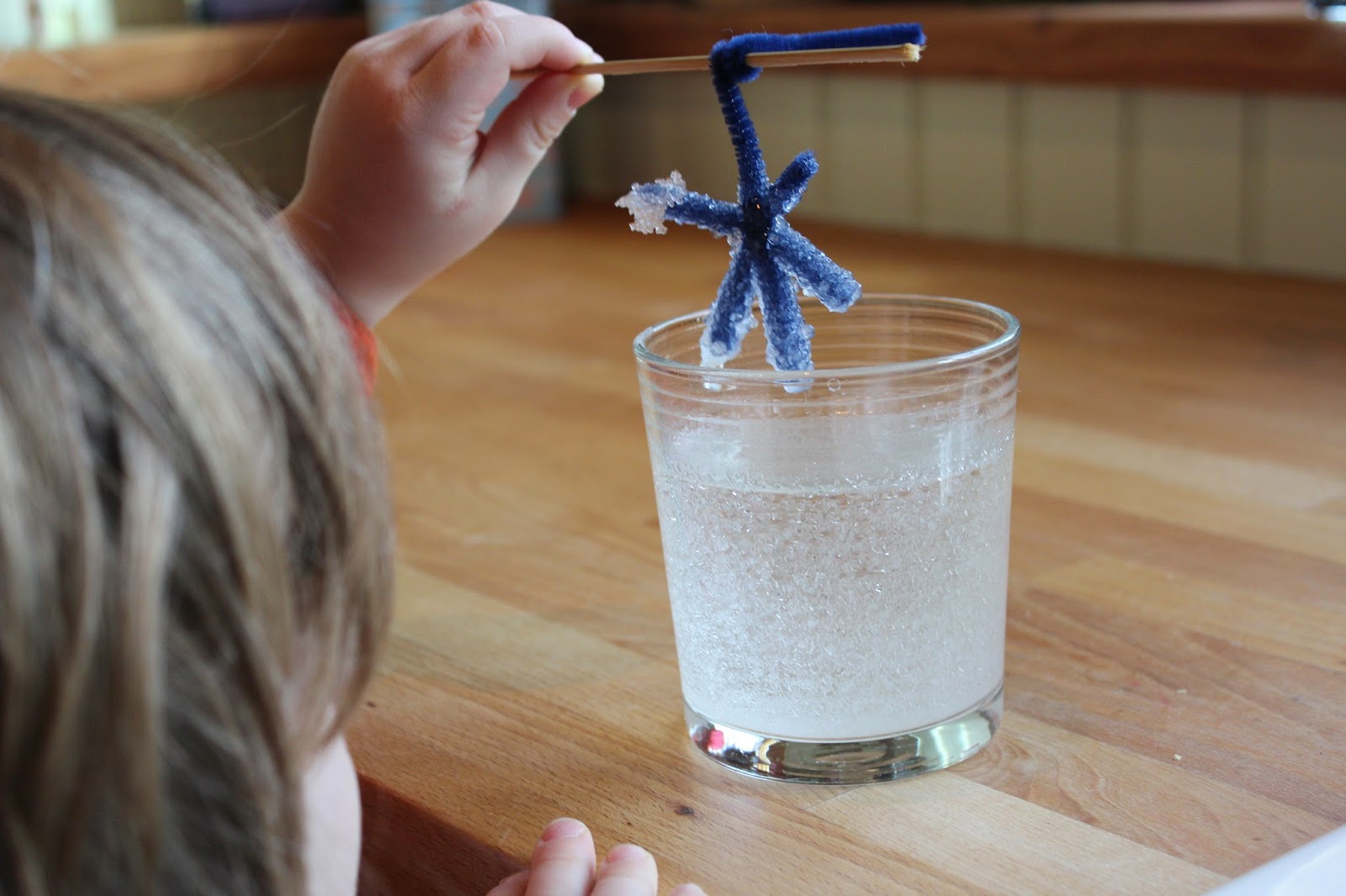 The Blue Barn: Growing Crystal Snowflakes