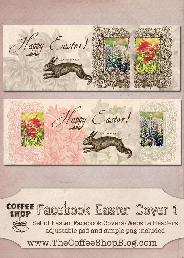 Pretty Vintage Facebook Cover Photo