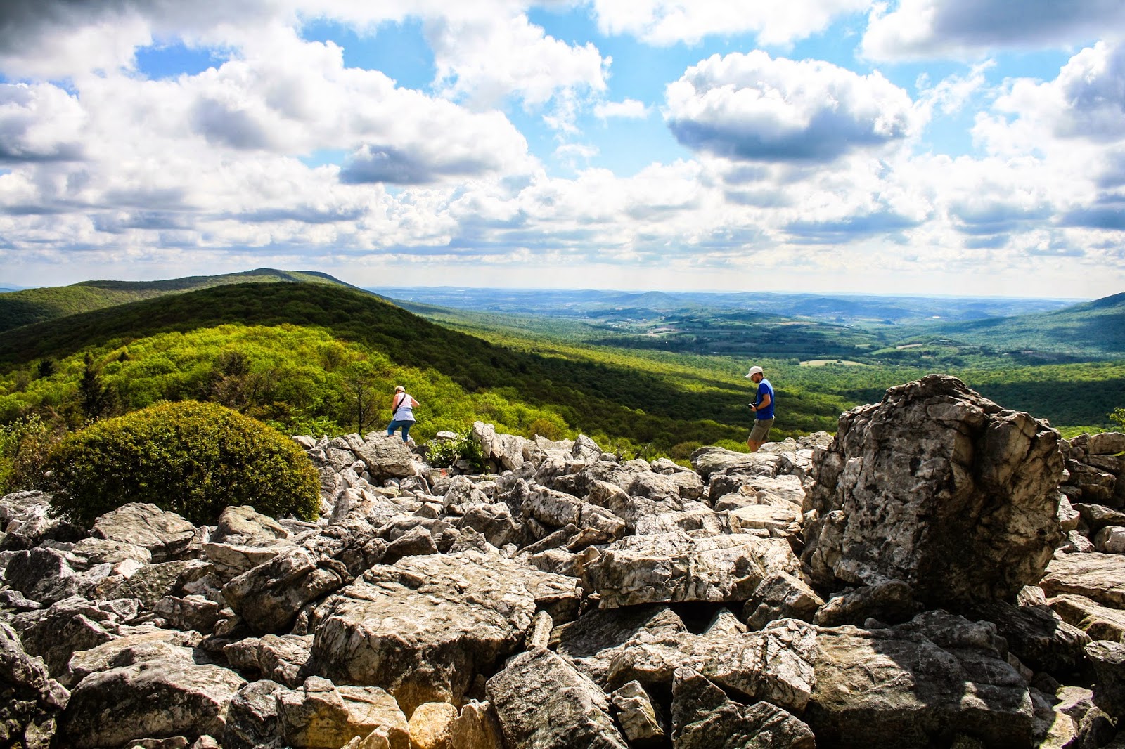 Natural Mid-Atlantic : Hawk Mountain Sanctuary - River of Rocks Circuit ...