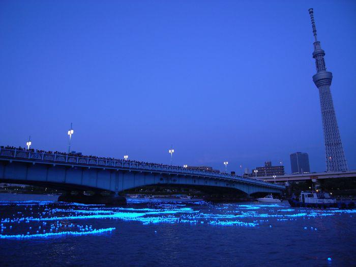 worldzone7: LED Lights Float Down the Sumida River - Japan
