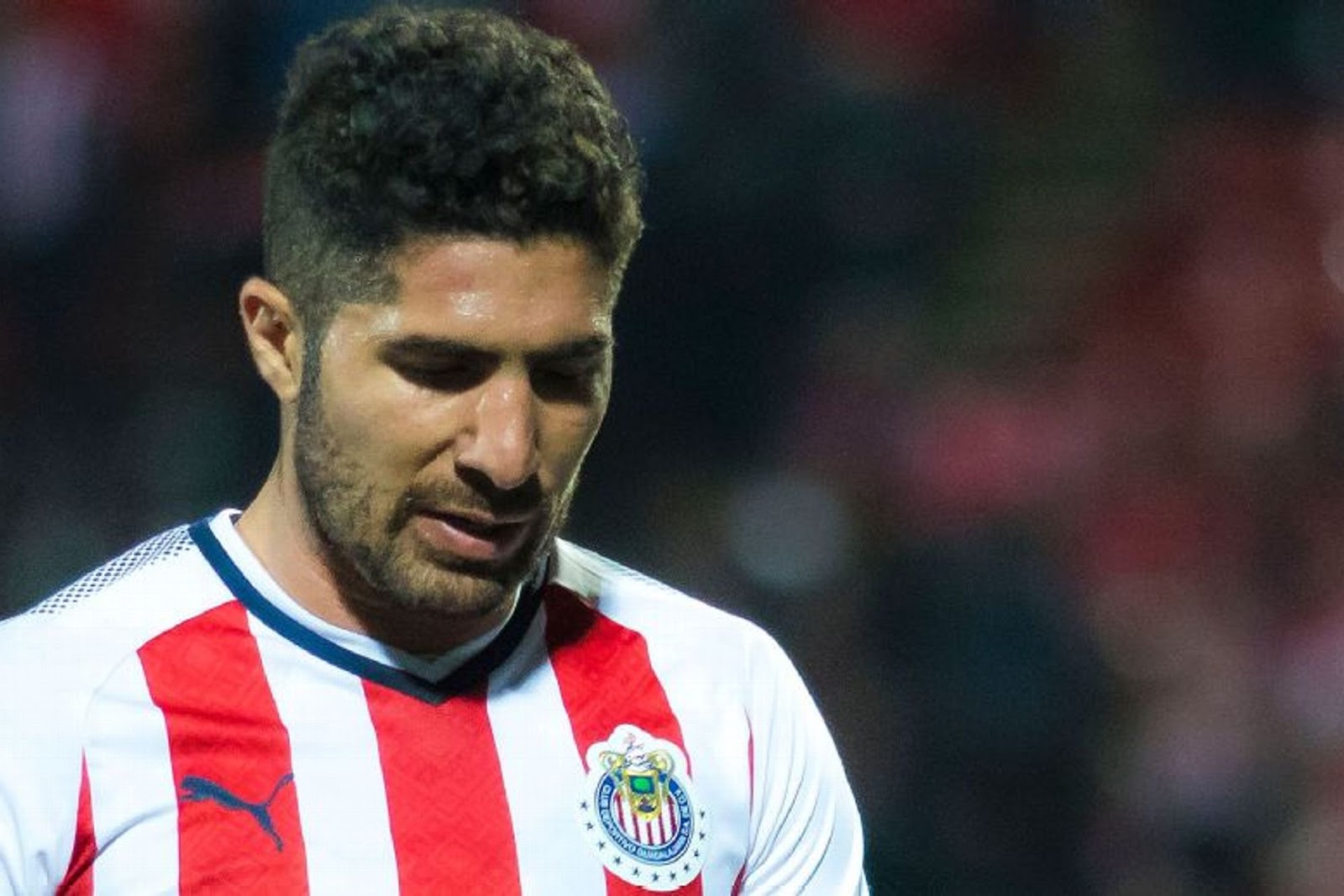 PEREIRA AFIRMA QUE NO VEN A VERGARA DESDE LOS CUARTOS DE LA CONCACAF ...