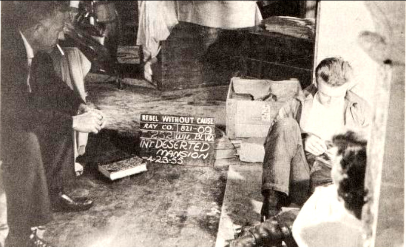 JAMES DEAN: NICHOLAS RAY