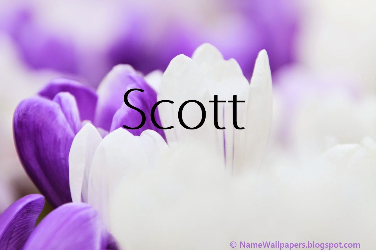 Scott Name Wallpapers Scott ~ Name Wallpaper Urdu Name Meaning Name ...