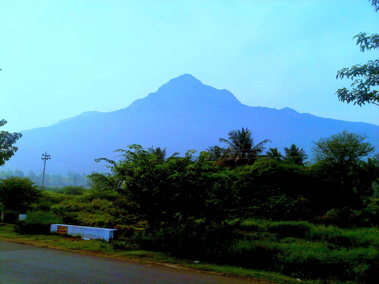Sharan Sharma: Arunachala