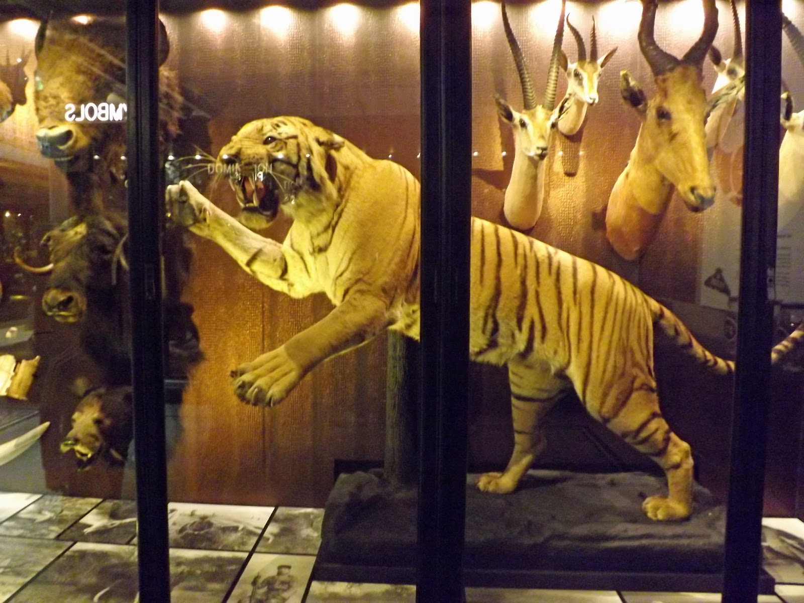 Manchester Museum - Bits And Bobs