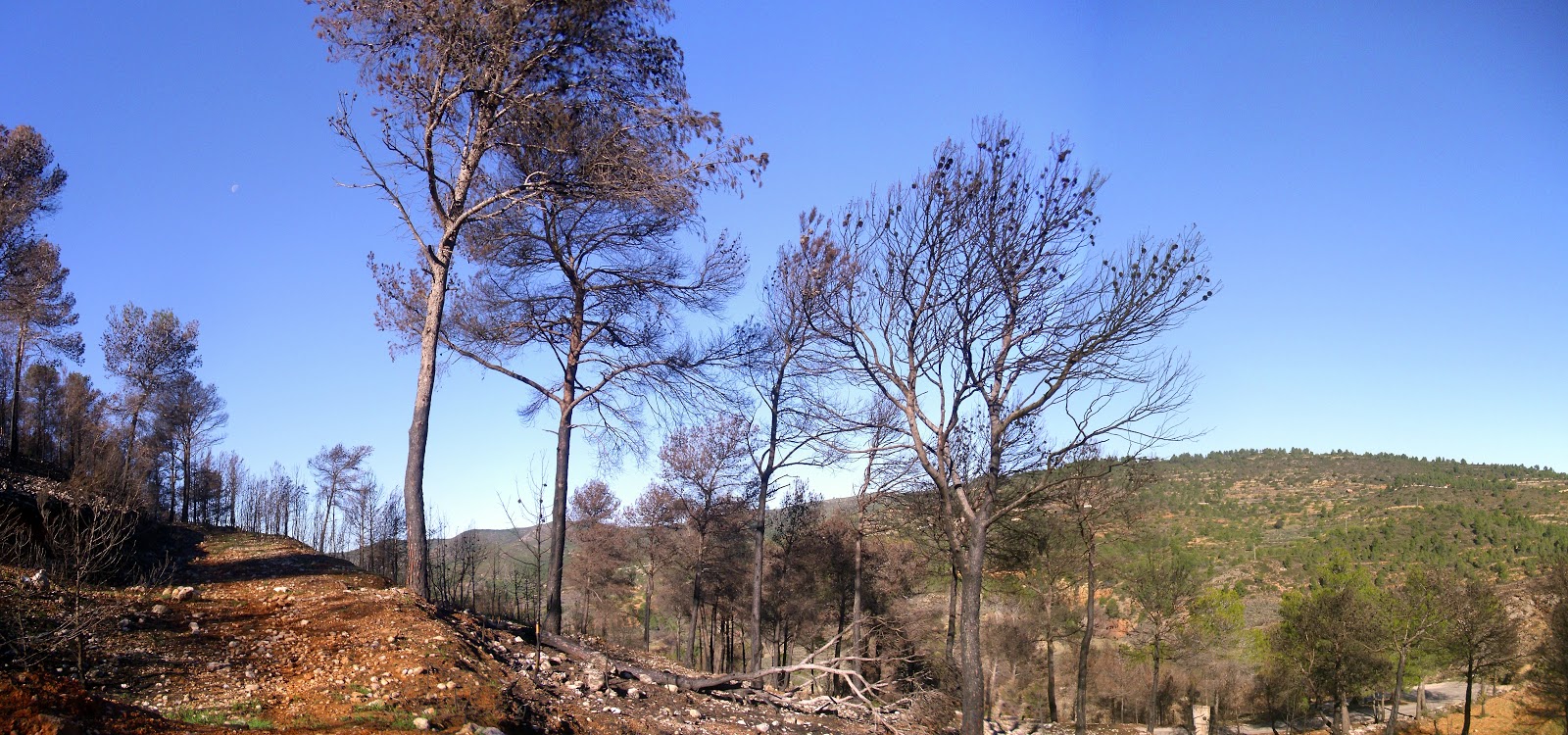 Peña Senderista Esto Se Empina: - SUBIDA AL MOTROTON Y RETORET (05-11-12)
