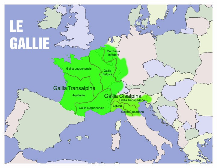 Le Radici Degli Alberi: LE GALLIE!