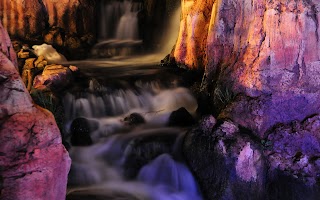 Disney Photoblography