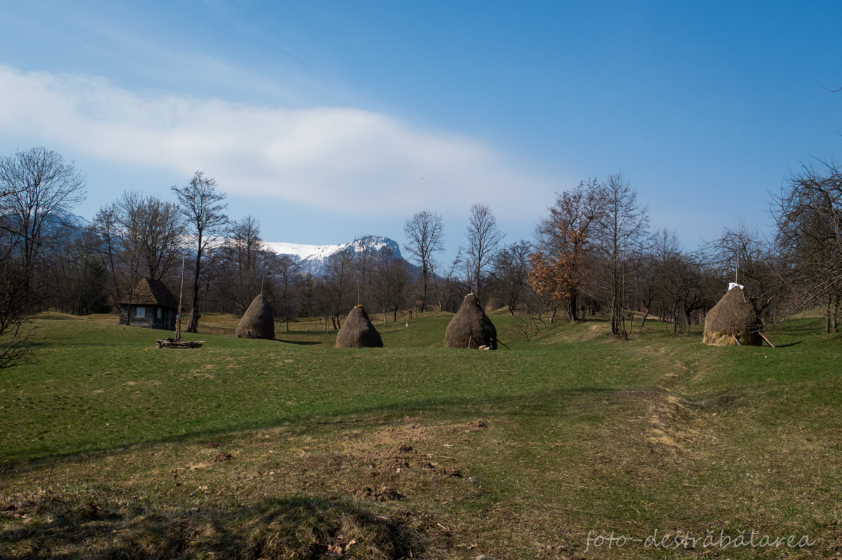 Satul Breb din Maramureș ~ foto-destrăbălarea