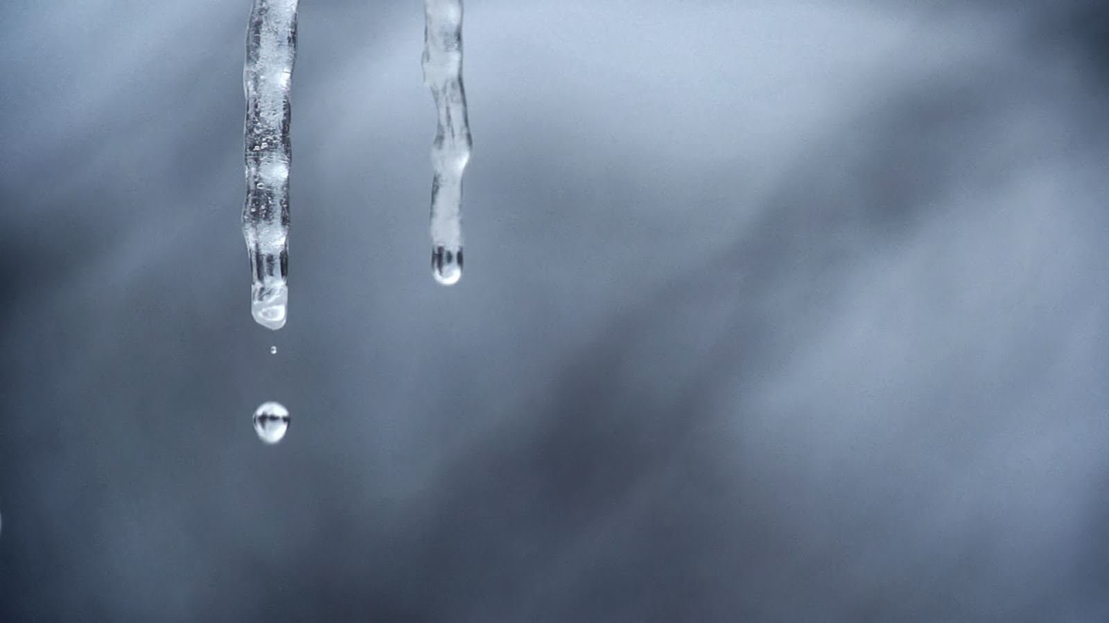 Beachfront B-Roll: Nature