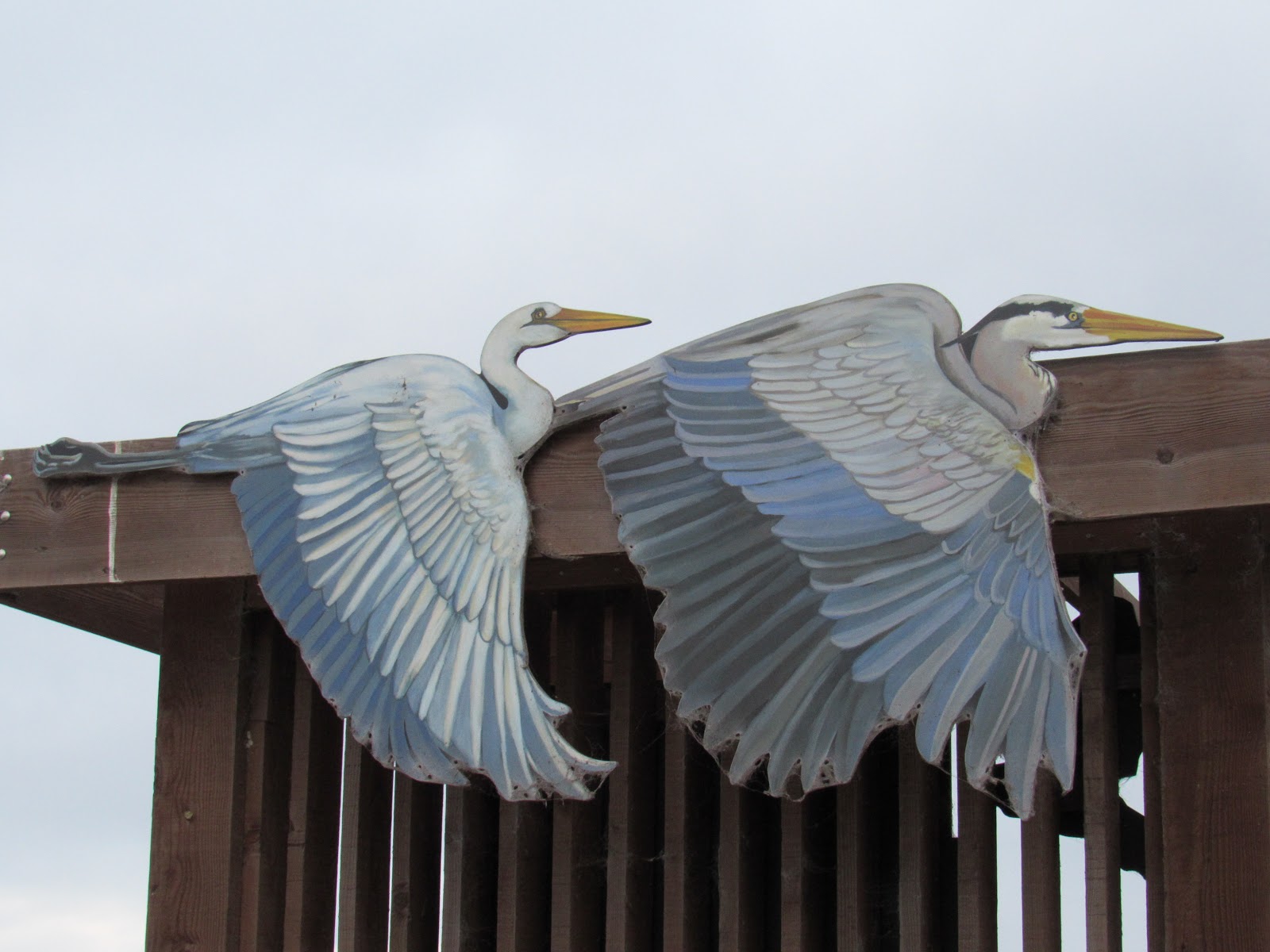 Wings and Daydreams: San Pablo Bay National Wildlife Refuge