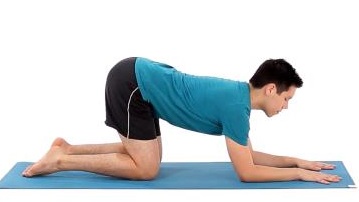 Yo Practico Yoga: 3 Formas de Hacer la Postura del Delfín en Yoga ...