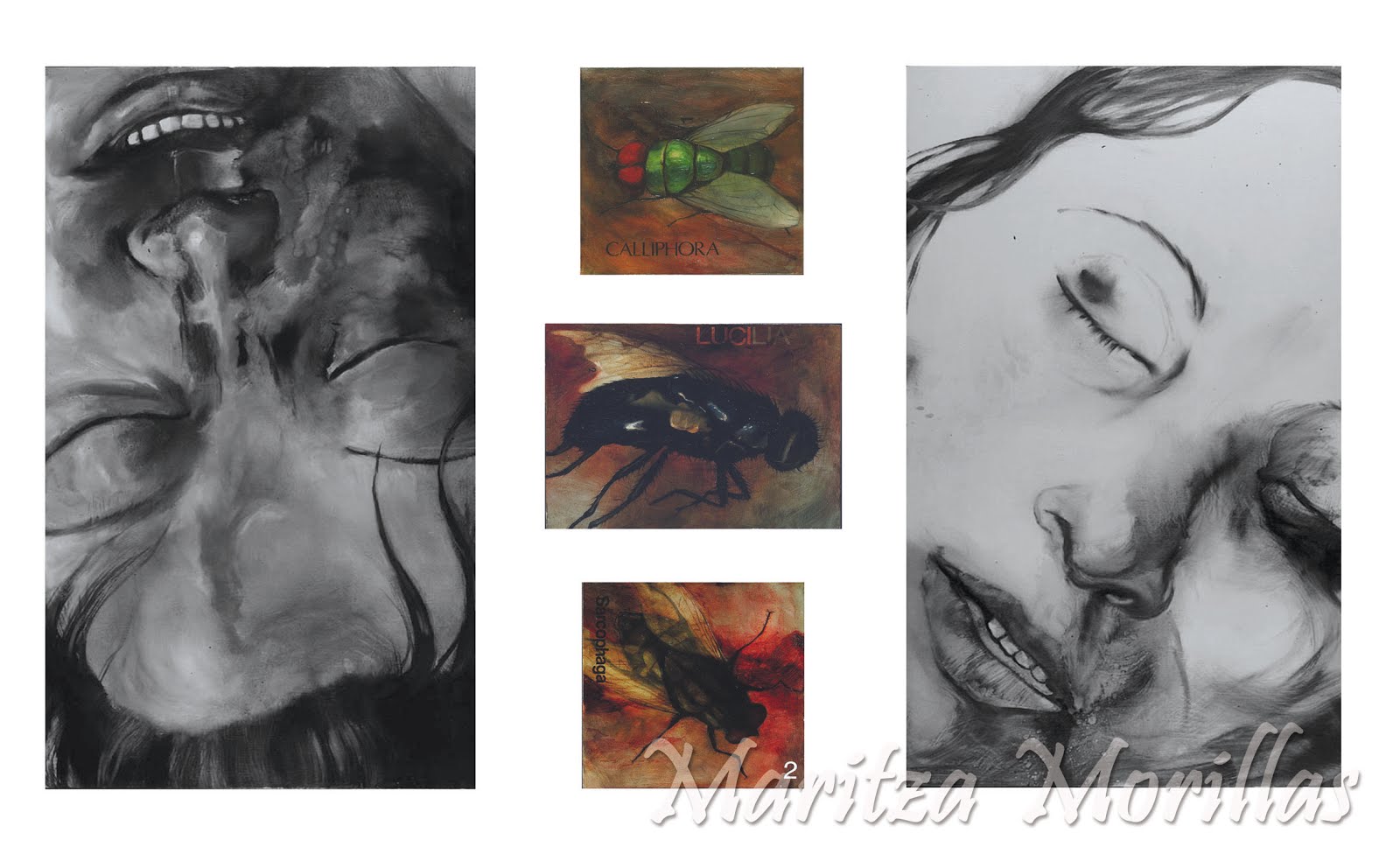 Maritza Morillas: CAroDAtaVERnibus PINTURA