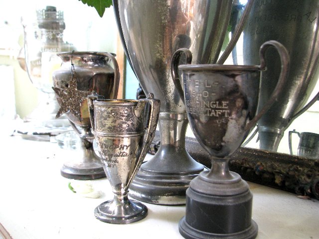 Vintage Trophy | White Ironstone Cottage