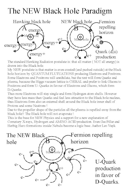 Quantum Function Follows FORM, (Q-FFF Theory) An Entangled Mirror Multiverse String Theory ...