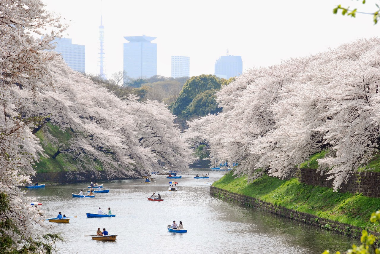 Tourist Attractions Ueno Park Tokyo Loveliest Places