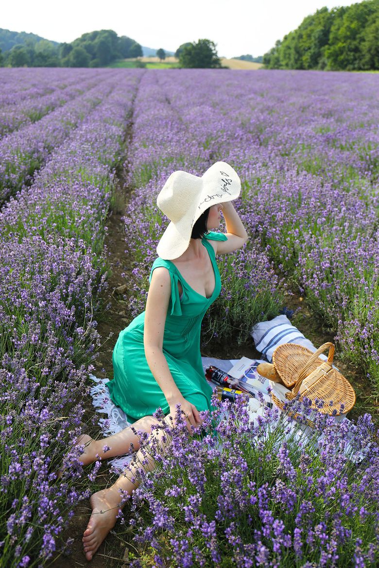 Aleksandra Ladygin: LAVENDER FIELD IN GERMANY