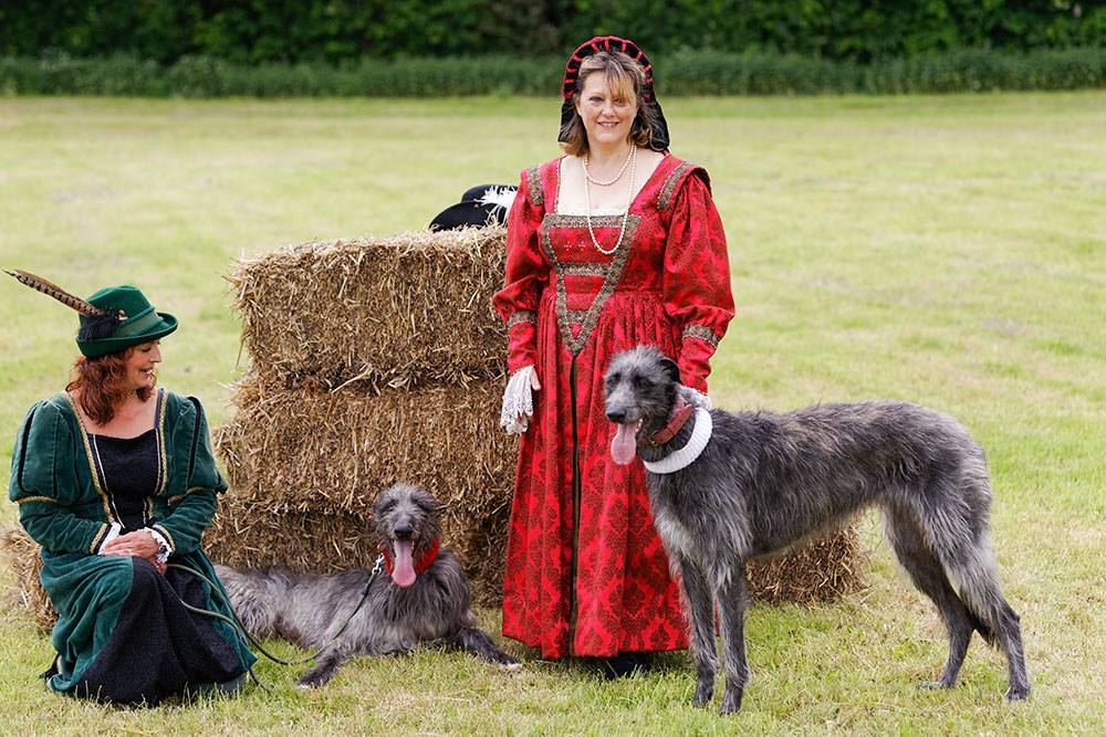 Berkeley Castle News: Tudor Festival at Berkeley Castle